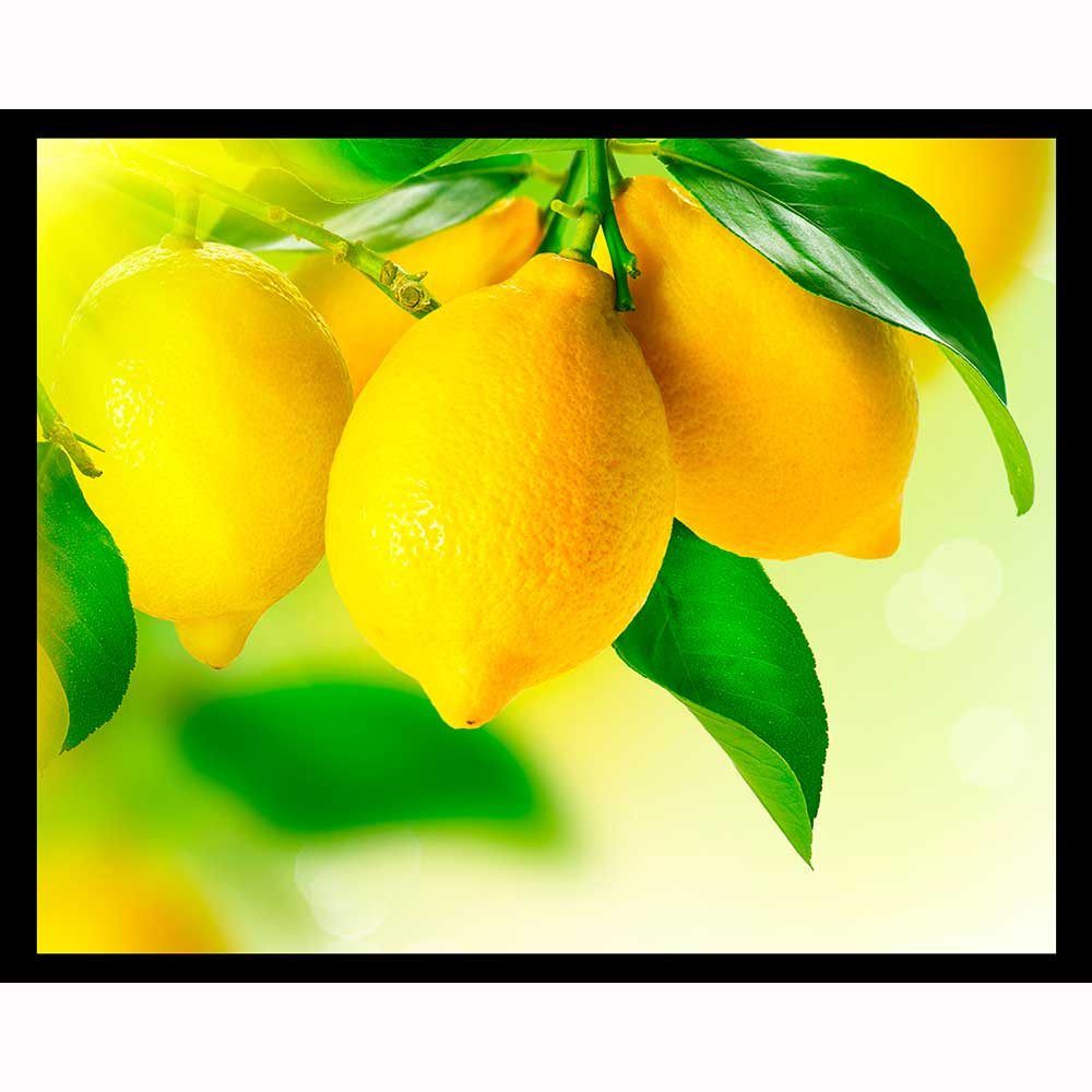 Lemon Tree - Night Light Designs