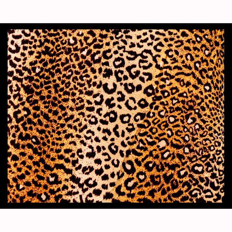 Leopard Print - Night Light Designs