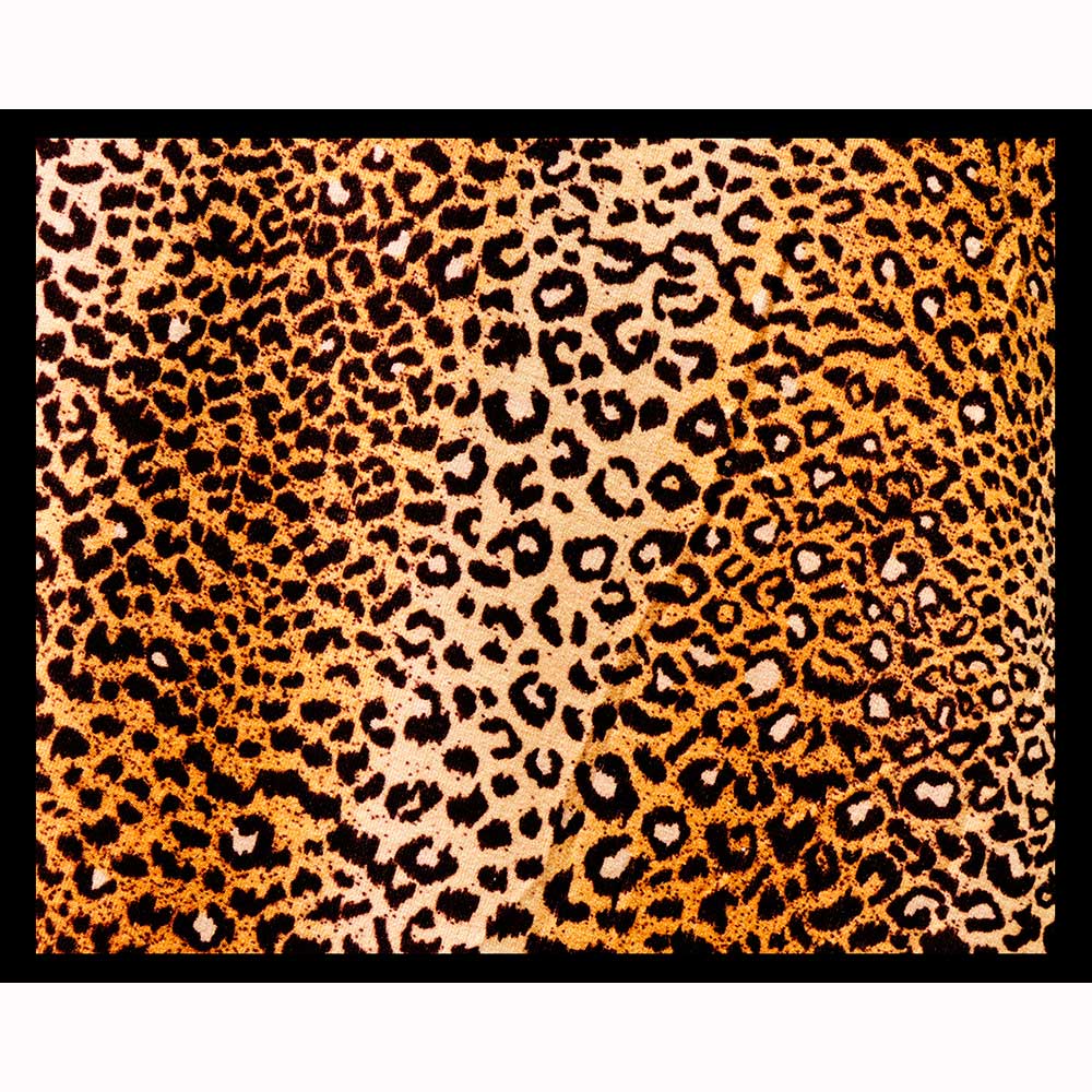 Leopard Print - Night Light Designs
