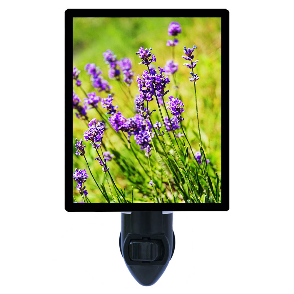 Lavender - Night Light Designs