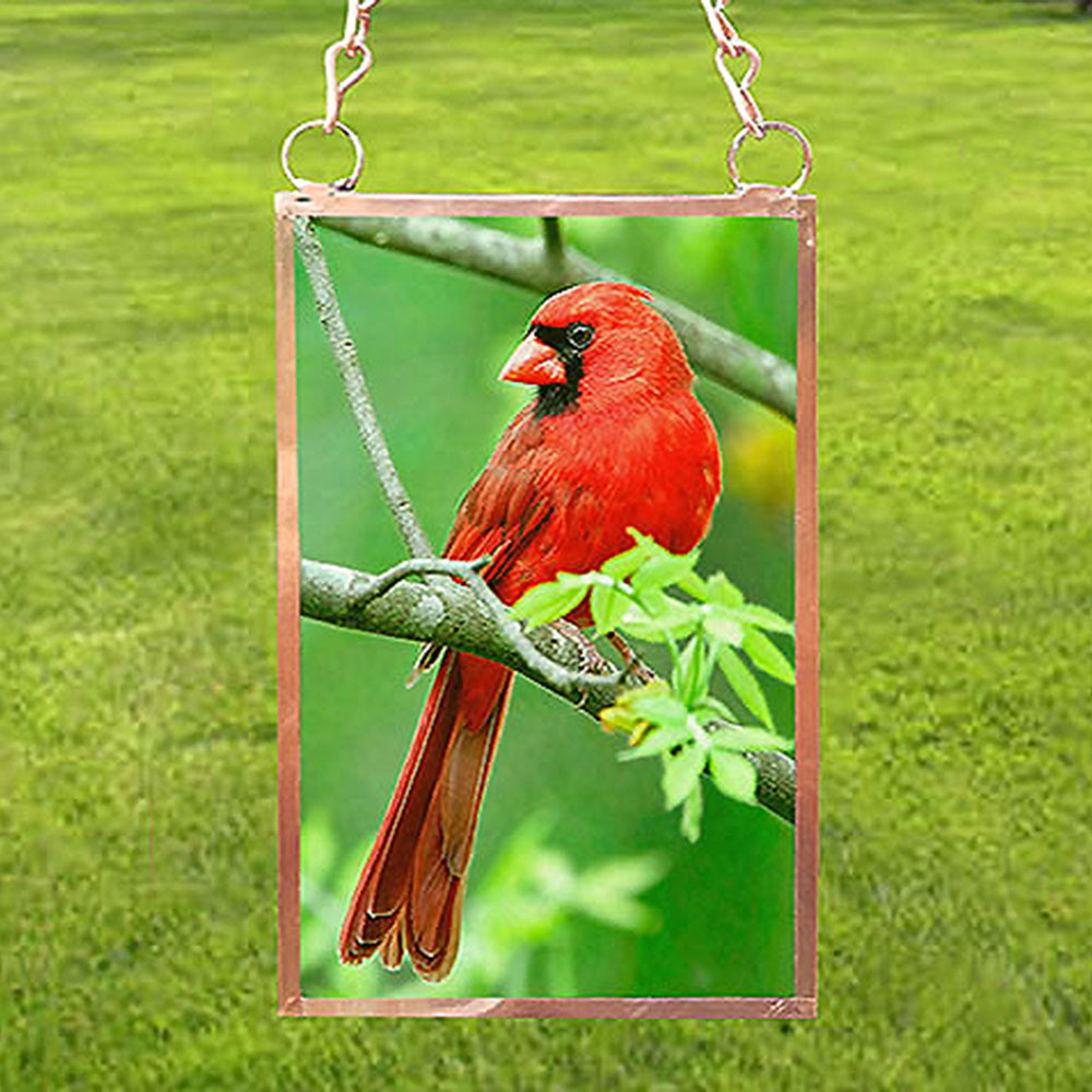 Red Bird - Sunspot - Night Light Designs