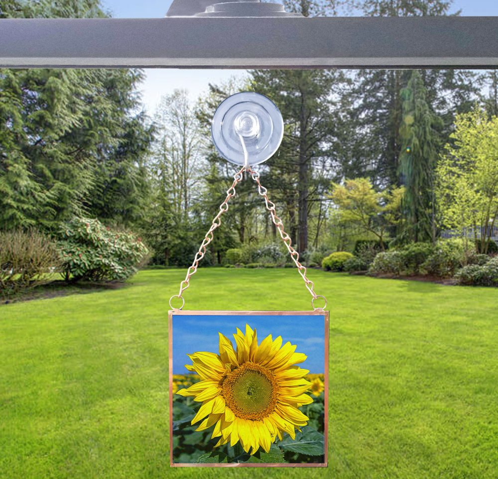 Suncatchers for Windows - Night Light Designs