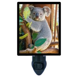 Koala - Night Light Designs