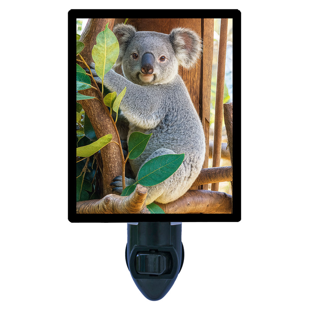 Koala - Night Light Designs