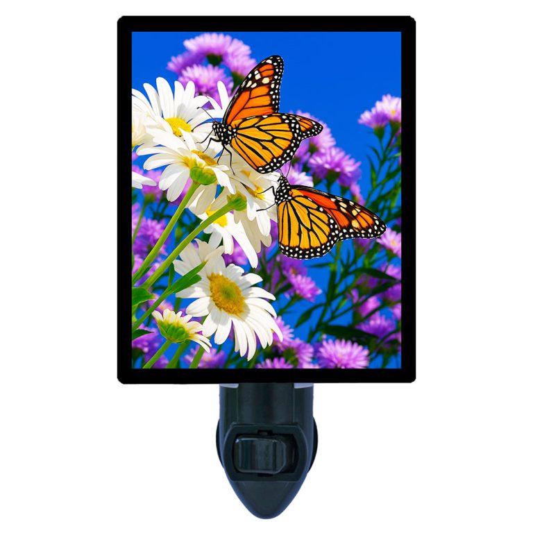Monarchs - Night Light Designs