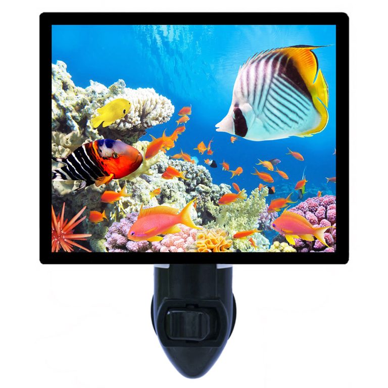 Tropical Fish - Night Light Designs