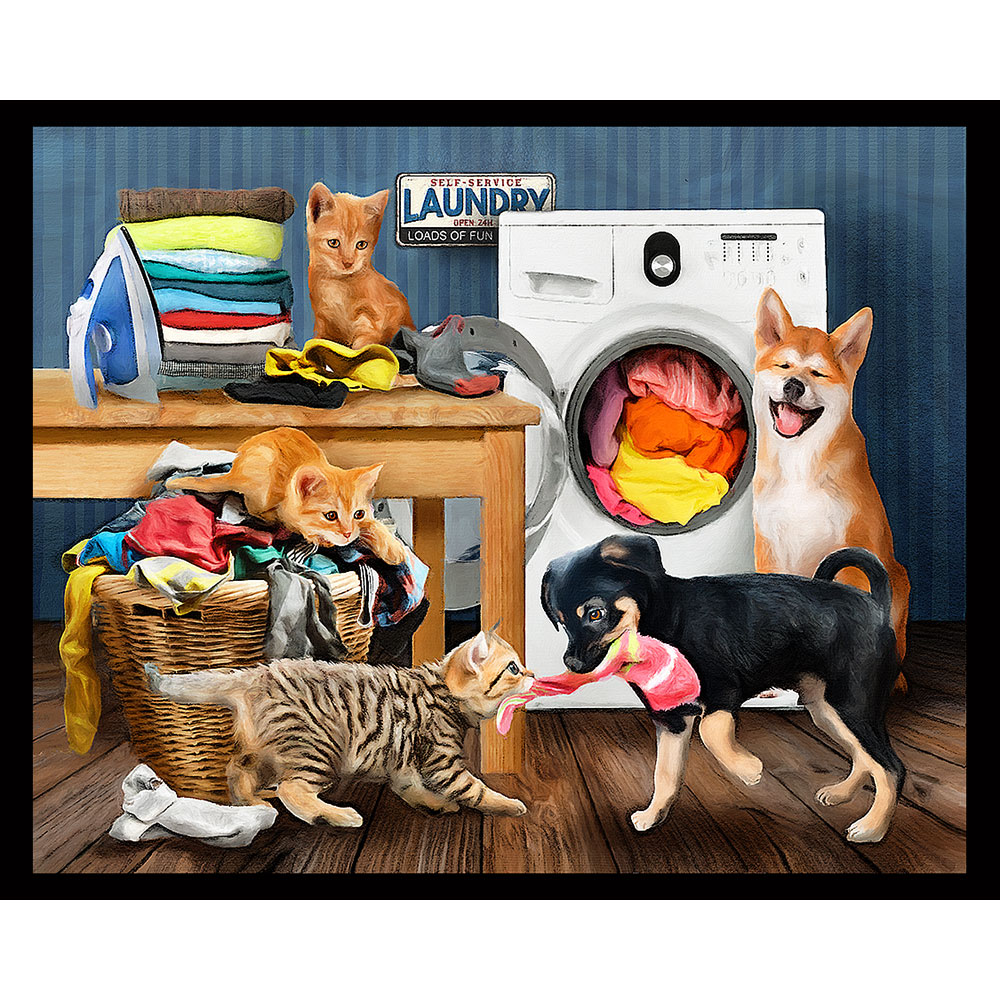 Laundry Room Laughs - Night Light Designs