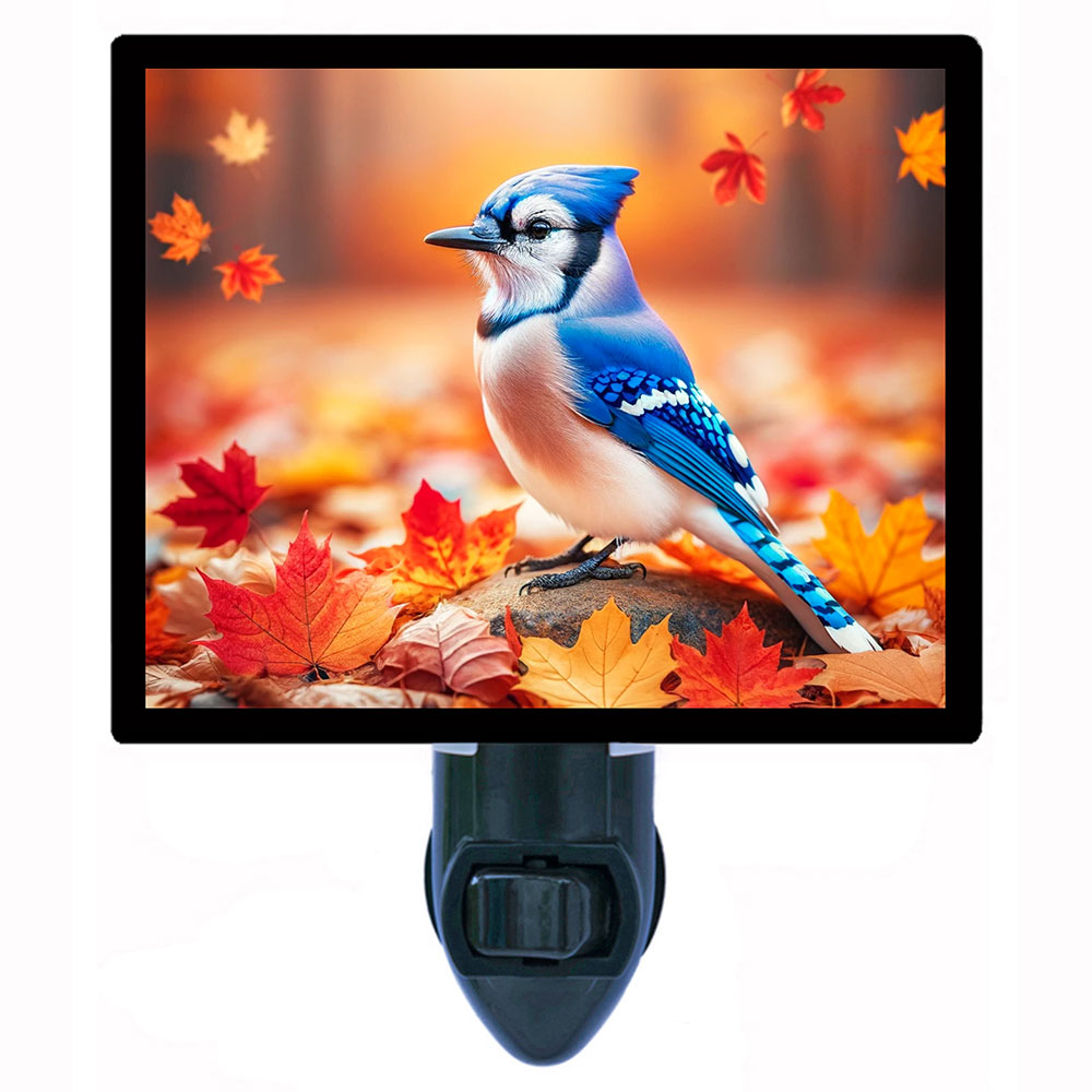 Fall Blue Jay - Night Light Designs